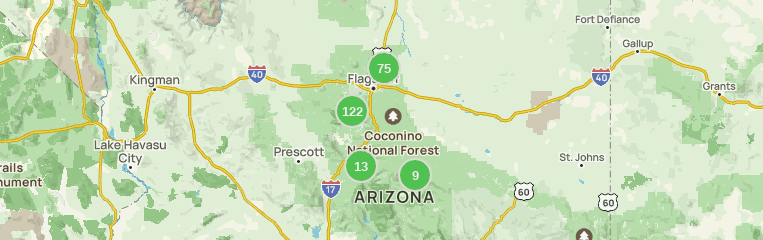 2023 Best 10 Trail Running Trails in Coconino National Forest | AllTrails