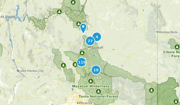 Best Walking Trails in Coconino National Forest | AllTrails