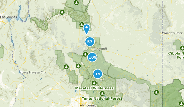 Best Wild Flowers Trails in Coconino National Forest | AllTrails