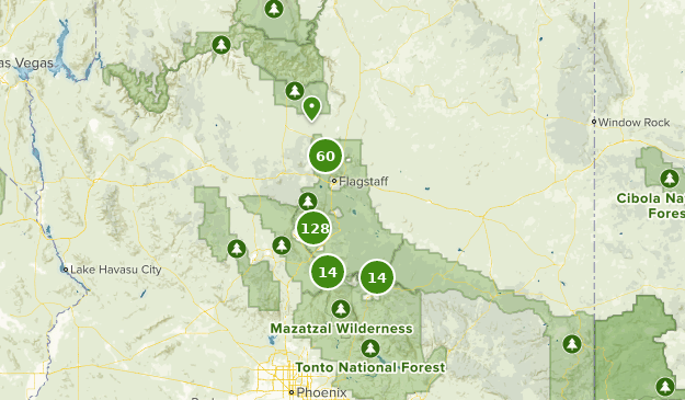 Best Wild Flowers Trails in Coconino National Forest | AllTrails