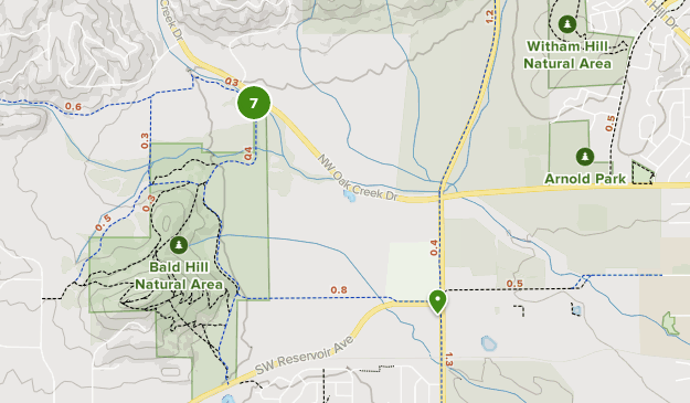 Best Running Trails in Bald Hill Natural Area | AllTrails