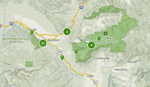 Best Mountain Biking Trails in Grand Mesa National Forest | AllTrails