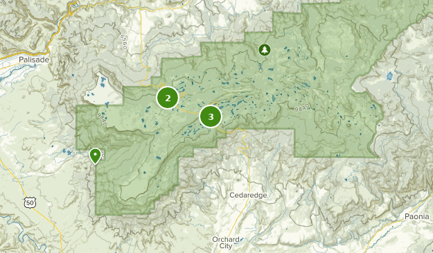 Best Snowshoeing Trails in Grand Mesa National Forest | AllTrails