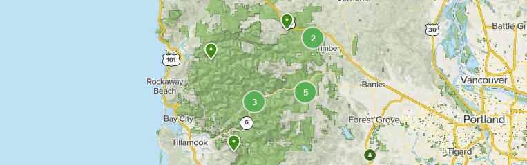 Best 10 Easy Trails in Tillamook State Forest | AllTrails