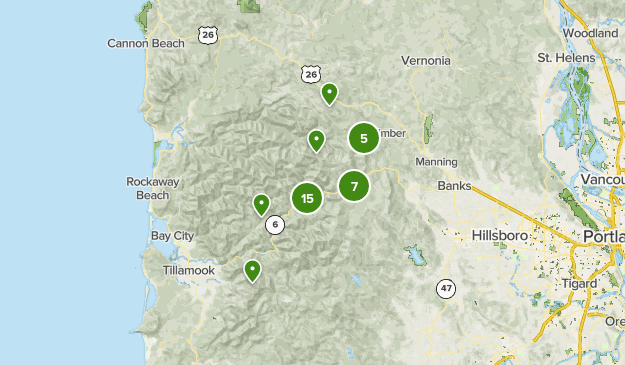 Best Forest Trails in Tillamook State Forest | AllTrails