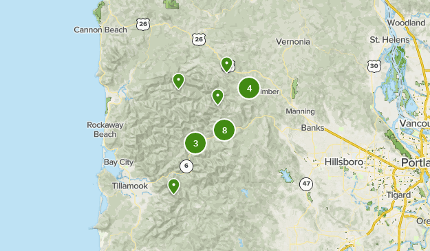 Best River Trails in Tillamook State Forest | AllTrails