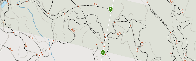 Best Mountain Biking Trails in Freetown Fall River State Forest | AllTrails