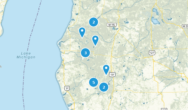 Best Running Trails in Manistee National Forest | AllTrails