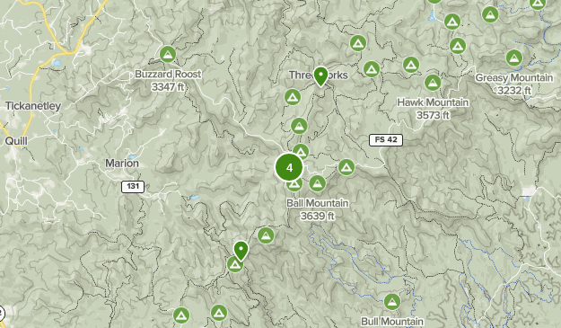 Best Camping Trails in Blue Ridge Wildlife Management Area | AllTrails