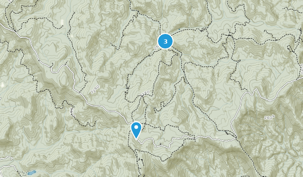 Best Forest Trails in Blue Ridge Wildlife Management Area | AllTrails