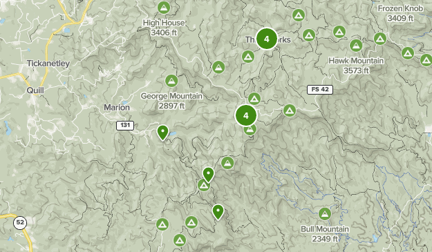 Best Forest Trails in Blue Ridge Wildlife Management Area | AllTrails