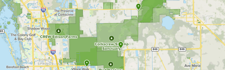 Best Short Trails in Corkscrew Regional Ecosystem Watershed | AllTrails