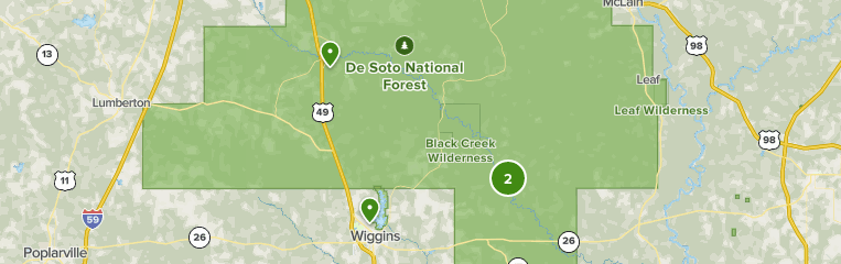 Best Camping Trails in De Soto National Forest | AllTrails
