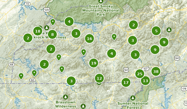 Best Forest Trails in Nantahala National Forest | AllTrails
