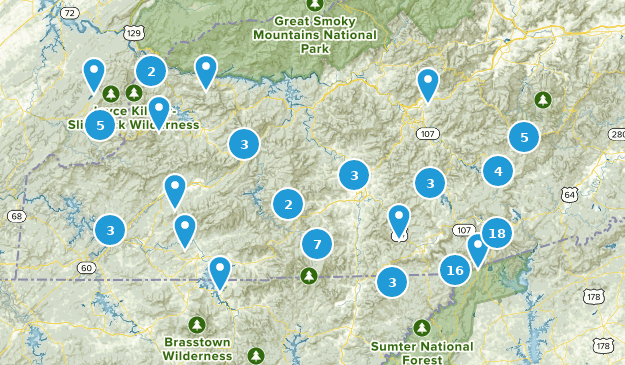 Best River Trails in Nantahala National Forest | AllTrails