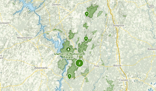 Best Backpacking Trails in Uwharrie National Forest | AllTrails