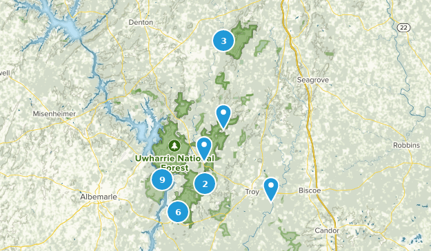 Best Hiking Trails in Uwharrie National Forest | AllTrails