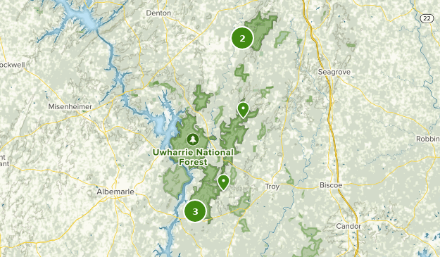 Best Running Trails in Uwharrie National Forest | AllTrails