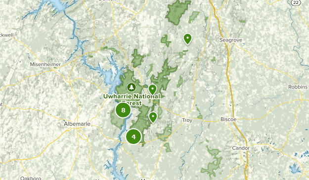 Best Walking Trails in Uwharrie National Forest | AllTrails