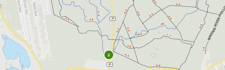 2023 Best Mountain Biking Trails in Rocky Point State Pine Barrens ...