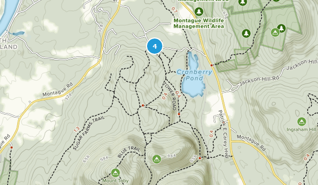 Best Forest Trails in Mount Toby State Forest | AllTrails