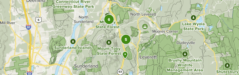 Best 10 Forest Trails in Mount Toby State Forest | AllTrails