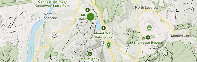 Best Wildlife Trails in Mount Toby State Forest | AllTrails