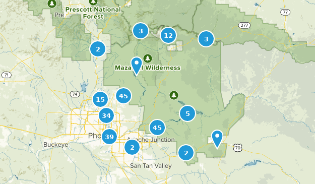 Best Kid Friendly Trails in Tonto National Forest | AllTrails