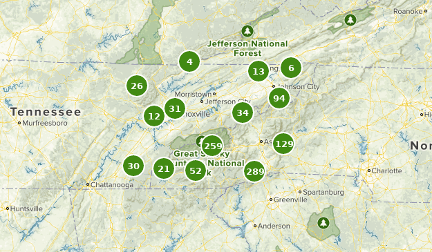 Best Forest Trails in Cherokee National Forest | AllTrails