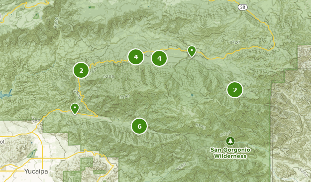 Best Camping Trails in San Gorgonio Wilderness | AllTrails