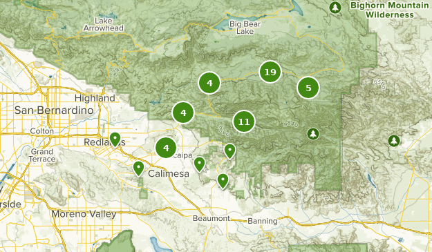 Best Forest Trails in San Gorgonio Wilderness | AllTrails