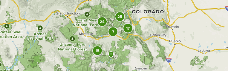 Best 10 Dog Friendly Trails in Gunnison National Forest | AllTrails