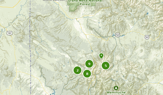 Best Snowshoeing Trails in Uncompahgre National Forest | AllTrails