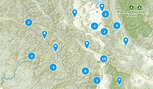 Best Bird Watching Trails in Lolo National Forest | AllTrails
