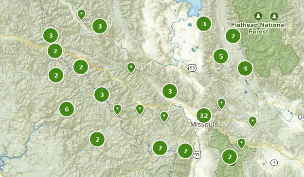 Best Forest Trails in Lolo National Forest | AllTrails