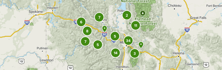 Best forest trails in Lolo National Forest, Montana | AllTrails