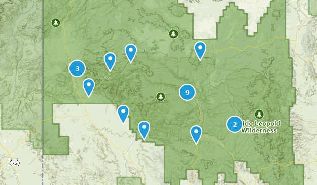 Best Backpacking Trails in Gila National Forest | AllTrails