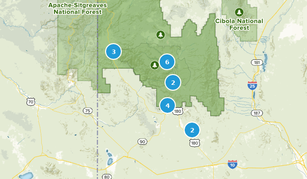 Best Kid Friendly Trails in Gila National Forest | AllTrails