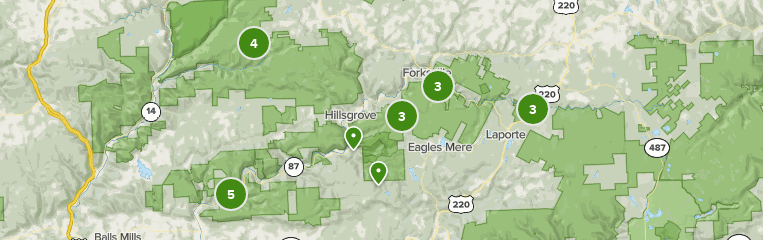 Best 10 Long Trails in Loyalsock State Forest | AllTrails