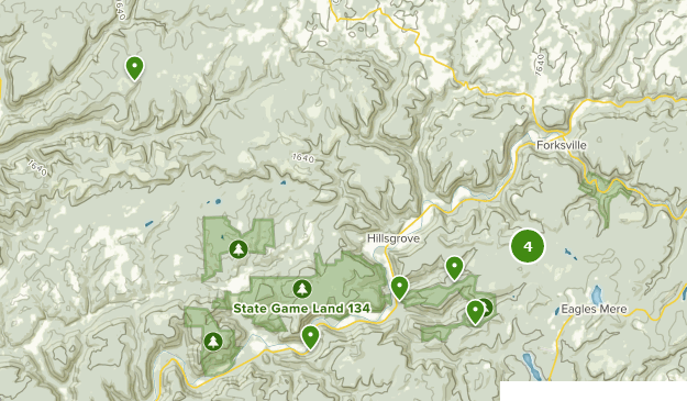 Best Running Trails in Loyalsock State Forest | AllTrails