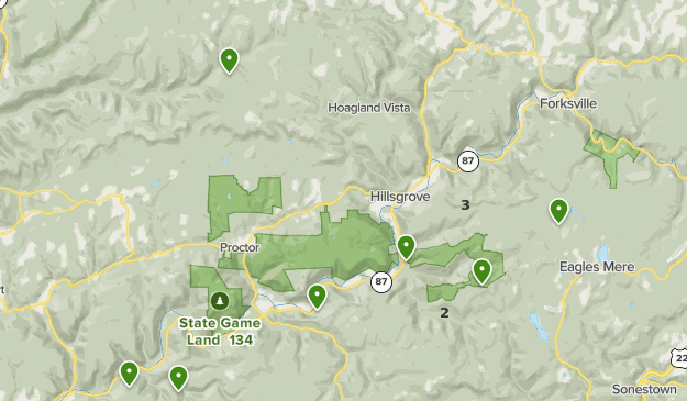 Best Views Trails in Loyalsock State Forest | AllTrails