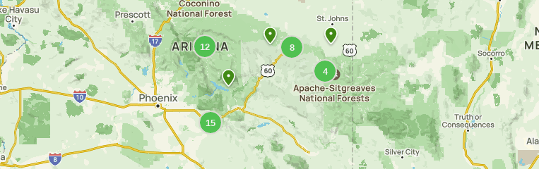 2023 Best Dog Friendly Trails in Apache Sitgreaves National Forest ...
