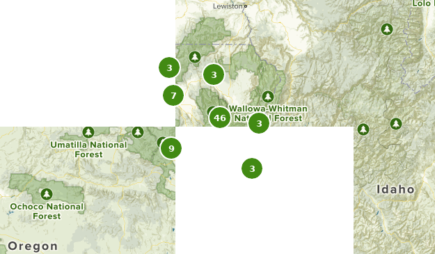 Best Forest Trails in Wallowa Whitman National Forest | AllTrails