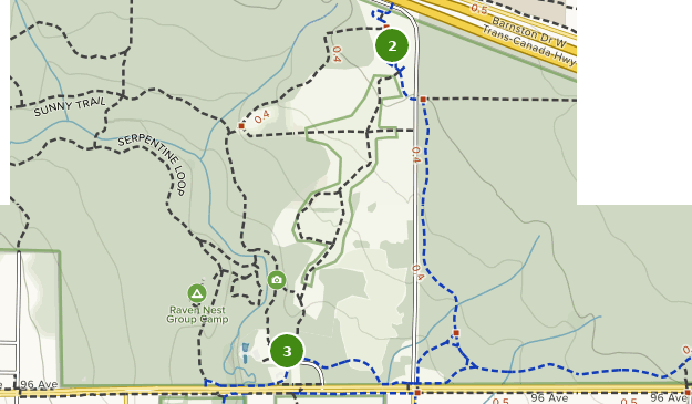 Best Forest Trails in Tynehead Regional Park | AllTrails