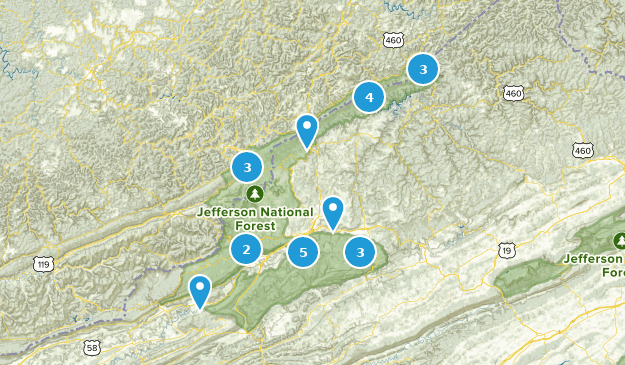 Best Forest Trails in Jefferson National Forest | AllTrails