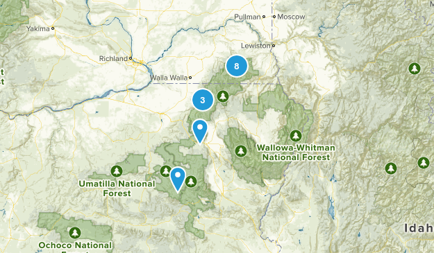 Best Forest Trails in Umatilla National Forest, Oregon | AllTrails