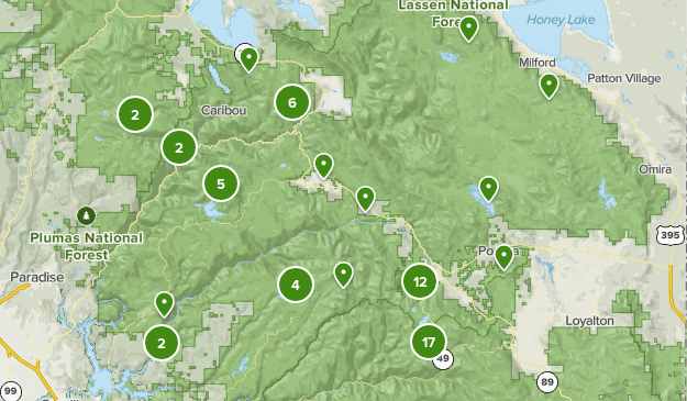 Best Forest Trails in Plumas National Forest | AllTrails