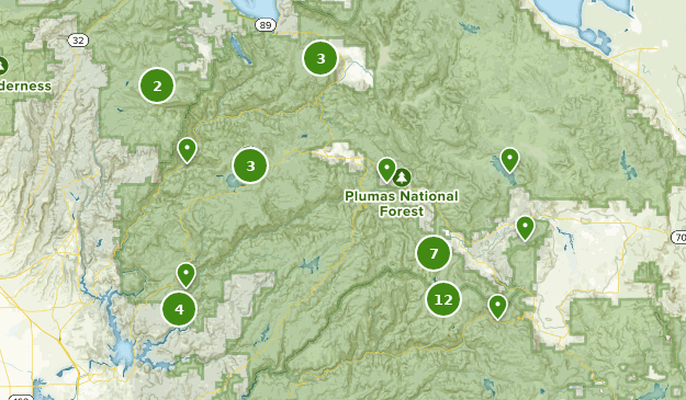 Best Wild Flowers Trails in Plumas National Forest | AllTrails