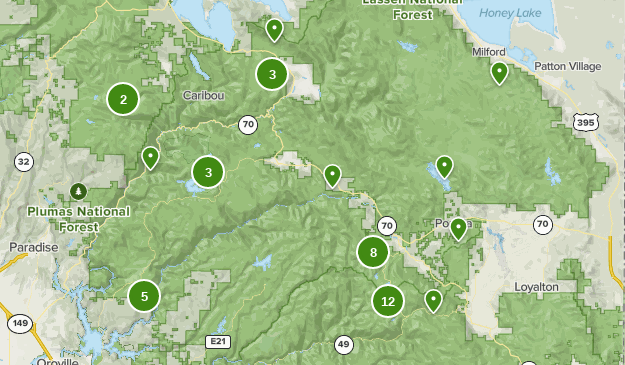 Best Wild Flowers Trails in Plumas National Forest | AllTrails