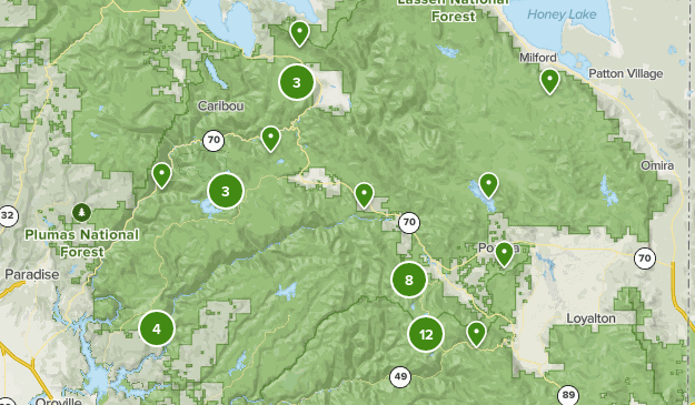 Best Wild Flowers Trails in Plumas National Forest | AllTrails